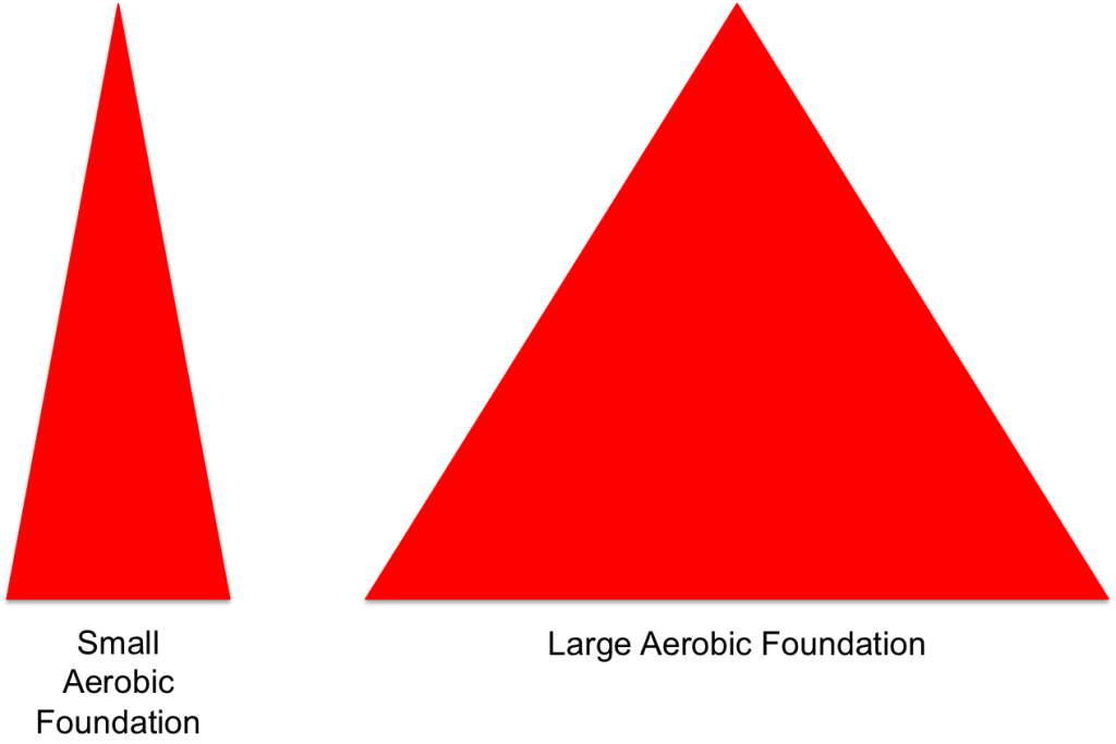 10 Nuggets, Tips and Tricks on Energy System Training - Robertson ...