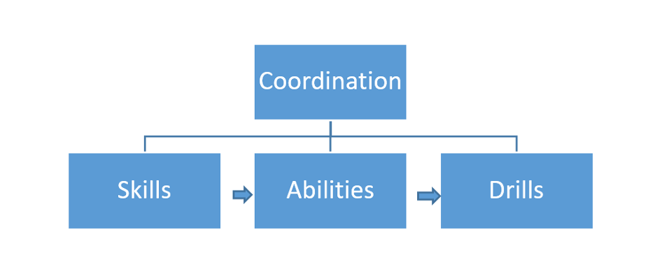 Is Multi-Directional Speed Training Just for Athletes? - Robertson ...
